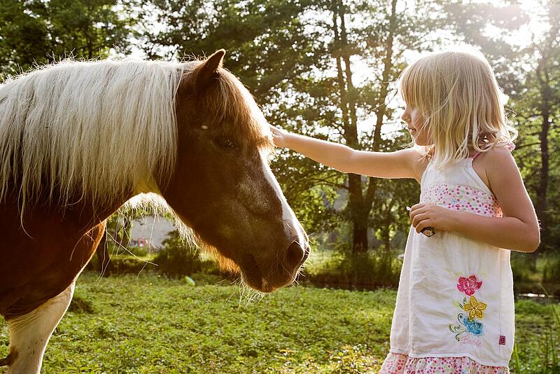 Les Castels Tour 2023 : le tourisme durable dans les campings Castels ...